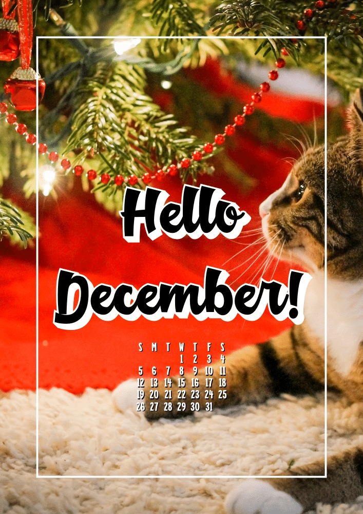Free Printable December 2021 Calendar PDF - Cute Freebies For You